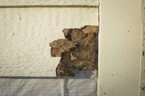 Masonite Siding – Common Problems and When to Replace